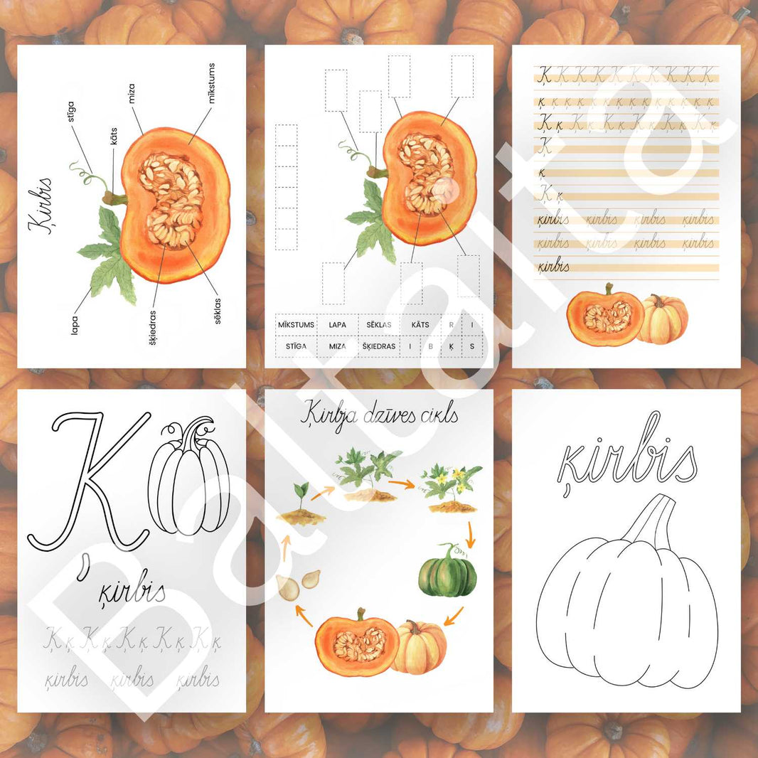 Rudens – Baltaita