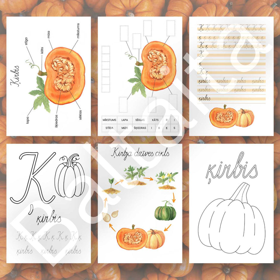 Rudens – Baltaita